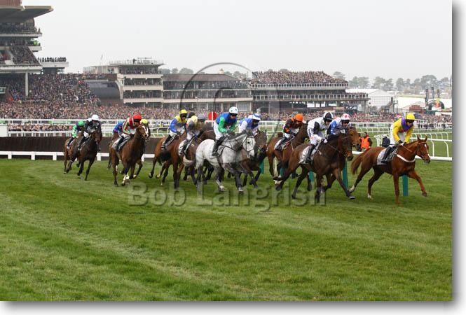 Bob Langrish Equestrian Photographer: Images