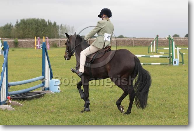 Bob Langrish Equestrian Photographer: Images