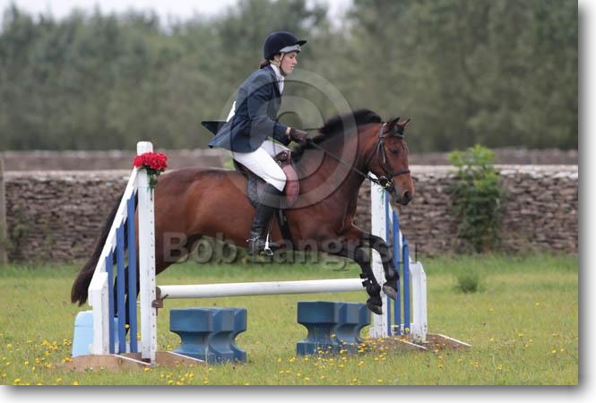 Bob Langrish Equestrian Photographer: Images