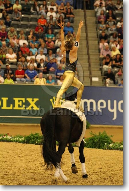 Bob Langrish Equestrian Photographer: Images