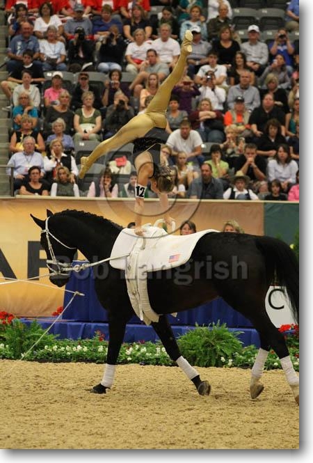 Bob Langrish Equestrian Photographer: Images