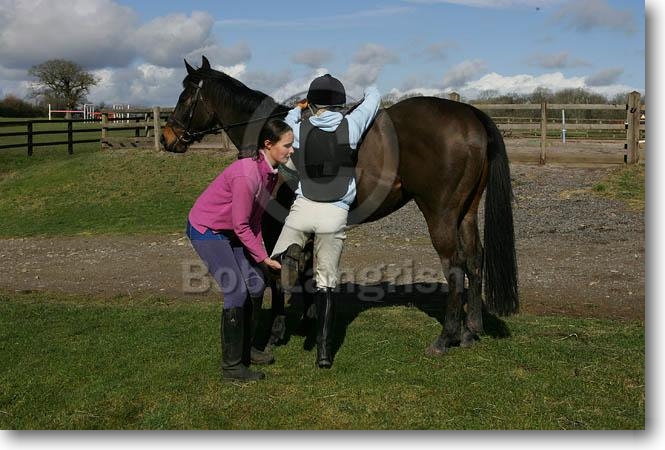 Bob Langrish Equestrian Photographer: Images