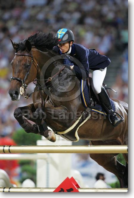 Bob Langrish Equestrian Photographer: Images