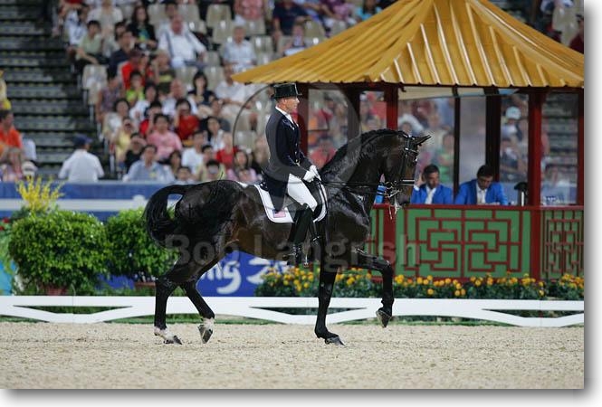 Bob Langrish Equestrian Photographer: Images
