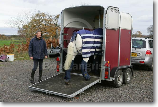 Bob Langrish Equestrian Photographer: Images