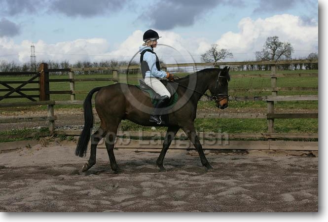 Bob Langrish Equestrian Photographer: Images