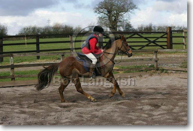 Bob Langrish Equestrian Photographer: Images