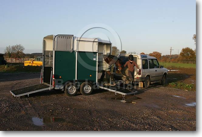 Bob Langrish Equestrian Photographer: Images
