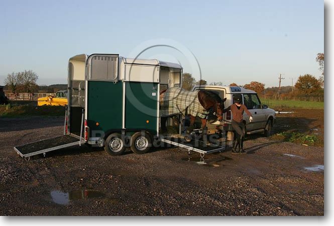 Bob Langrish Equestrian Photographer: Images