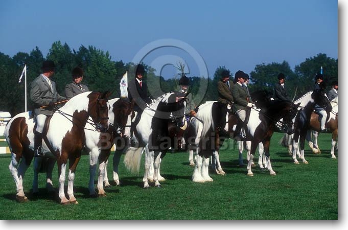 Bob Langrish Equestrian Photographer: Images