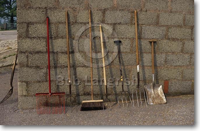 Bob Langrish Equestrian Photographer: Images