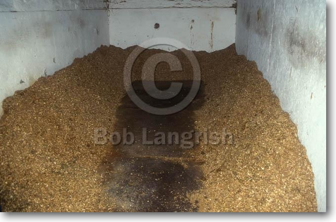 Bob Langrish Equestrian Photographer: Images