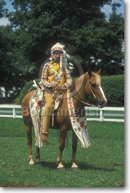 Bob Langrish Equestrian Photographer: Images