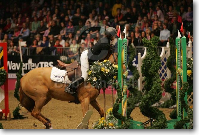 Bob Langrish Equestrian Photographer: Images