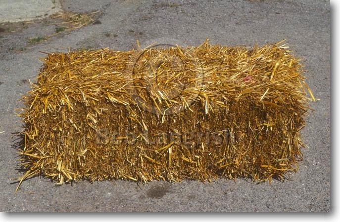 Bob Langrish Equestrian Photographer: Images