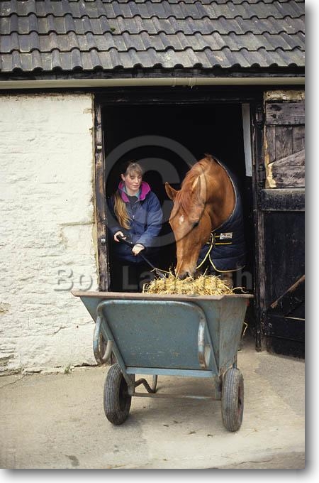Bob Langrish Equestrian Photographer: Images