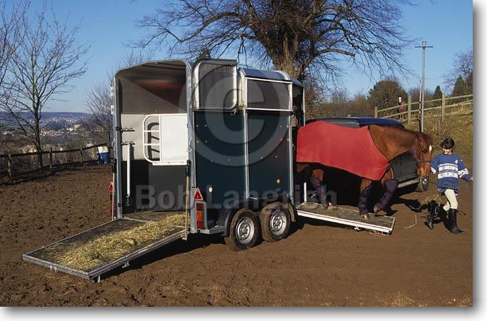 Bob Langrish Equestrian Photographer: Images