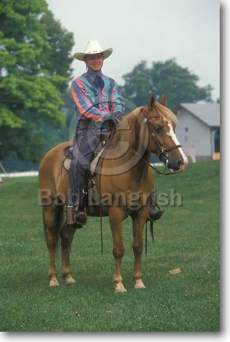 Bob Langrish Equestrian Photographer: Images