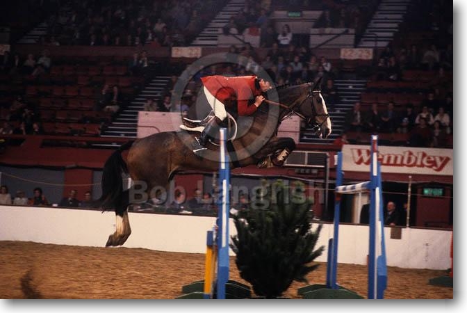 Bob Langrish Equestrian Photographer: Images