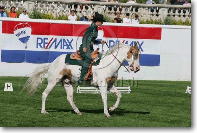 Bob Langrish Equestrian Photographer: Images