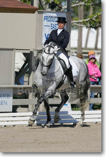 Bob Langrish Equestrian Photographer: Images