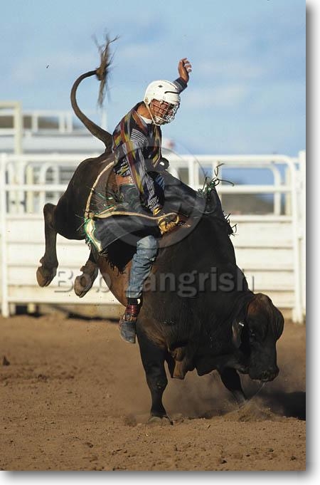 Bob Langrish Equestrian Photographer: Images