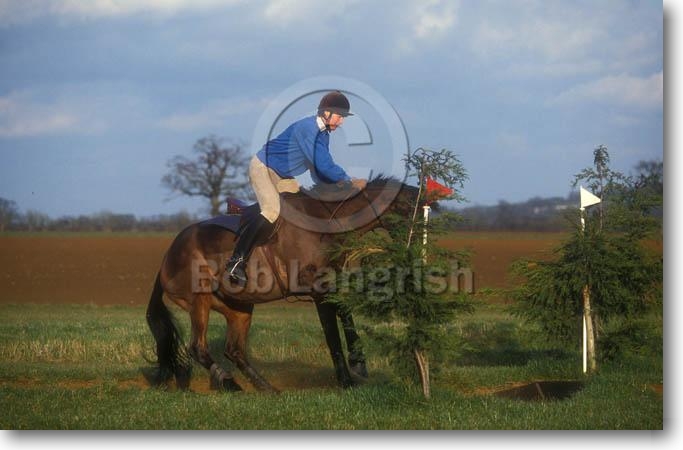 Bob Langrish Equestrian Photographer: Images