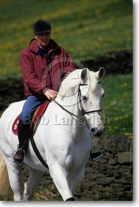 Bob Langrish Equestrian Photographer: Images