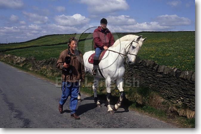 Bob Langrish Equestrian Photographer: Images