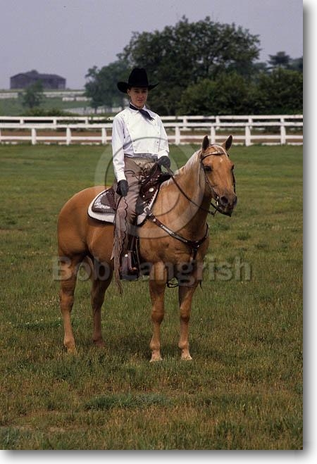 Bob Langrish Equestrian Photographer: Images
