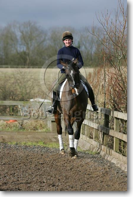 Bob Langrish Equestrian Photographer: Images