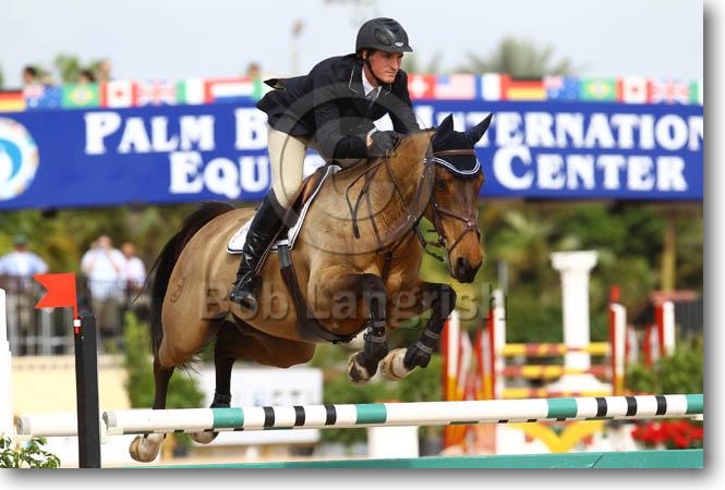 Bob Langrish Equestrian Photographer: Search Results