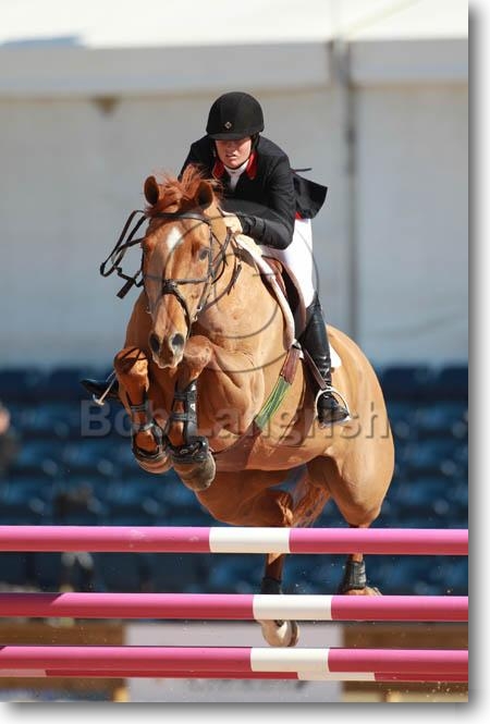 Bob Langrish Equestrian Photographer: Travels
