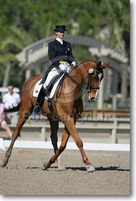 Bob Langrish Equestrian Photographer: Travels