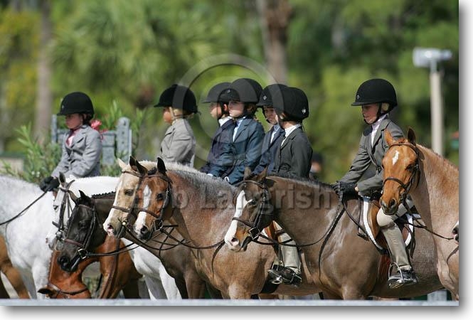 Bob Langrish Equestrian Photographer: Travels