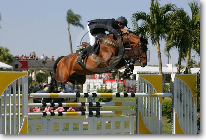 Bob Langrish Equestrian Photographer: Travels